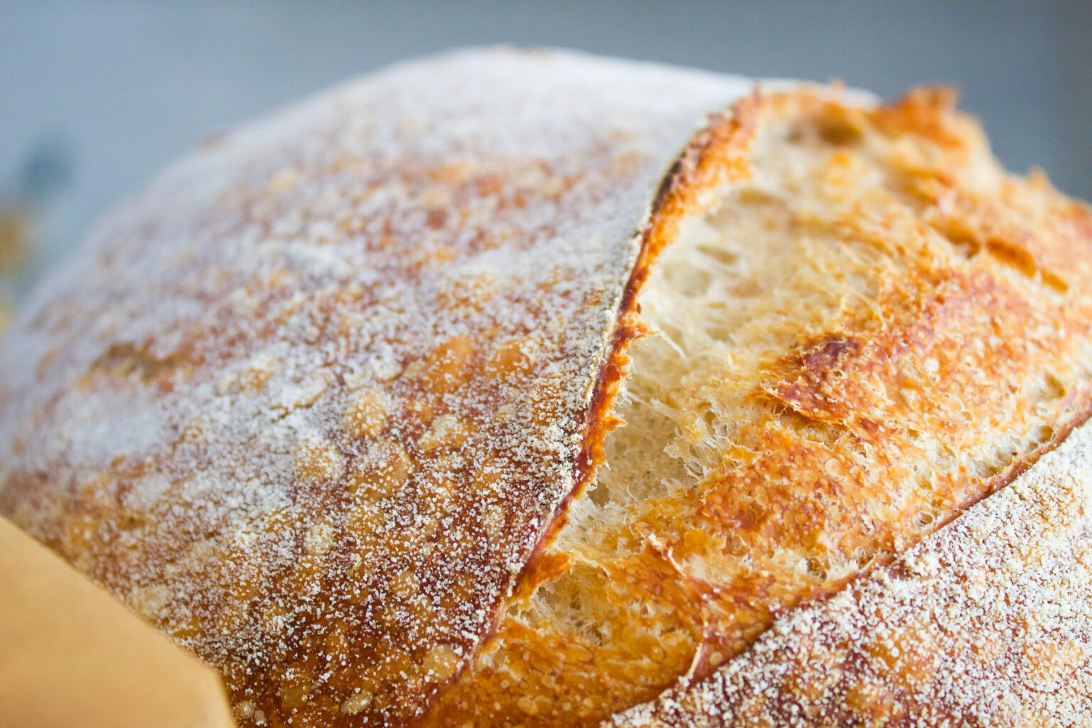 Pan de Masa Madre: Paso a Paso Para Principiantes – Tikitchen
